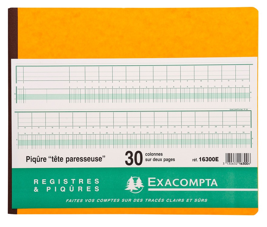 EXACOMPTA 16300E Registre à têtes paresseuses - 30 colonnes - 270 x 320 ...